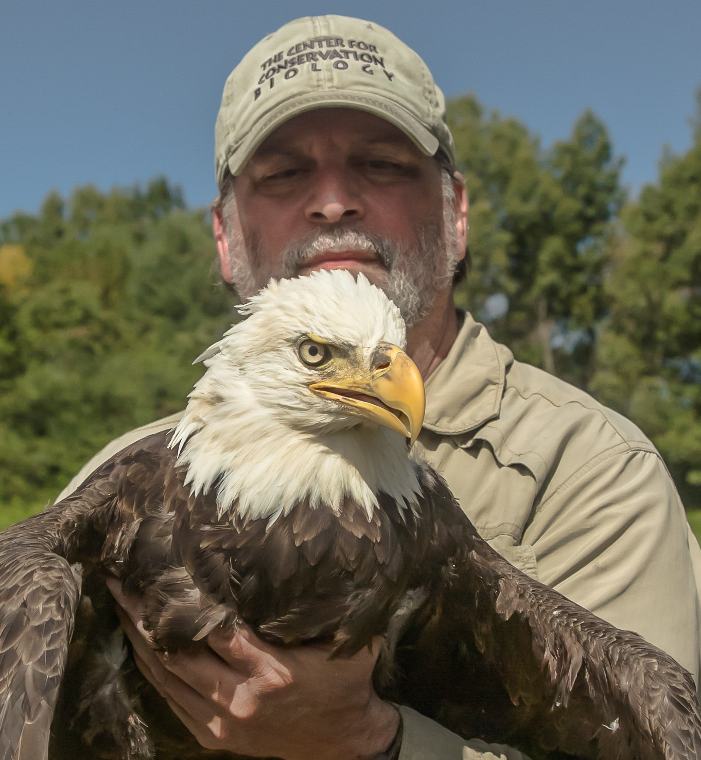 Bryan Watts receives Eisenmann Medal - The Center for Conservation Biology