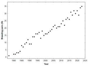 Peregrine falcon population continues to advance in Virginia - The ...