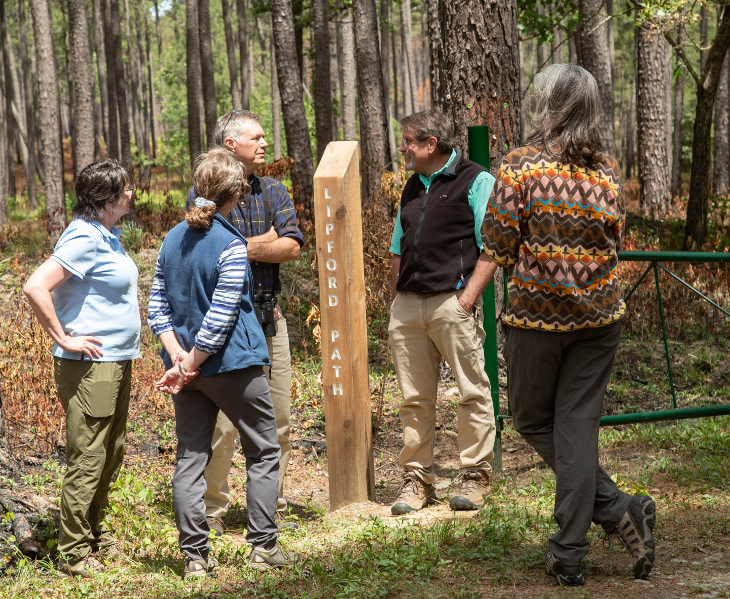 Woodpecker recovery within Piney Grove Preserve: A retrospective - The ...