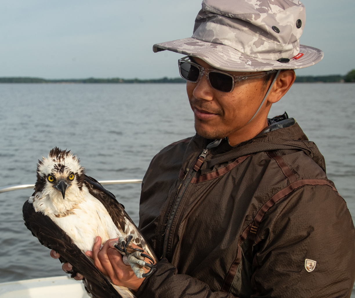 Four generations of W&M graduate students collaborate on osprey paper ...
