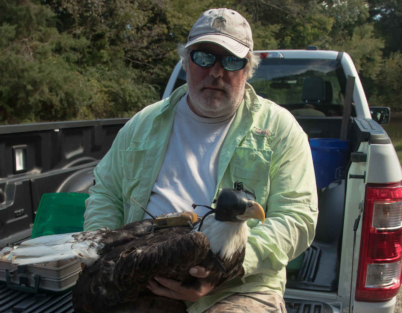 Trapping eagles - The Center for Conservation Biology