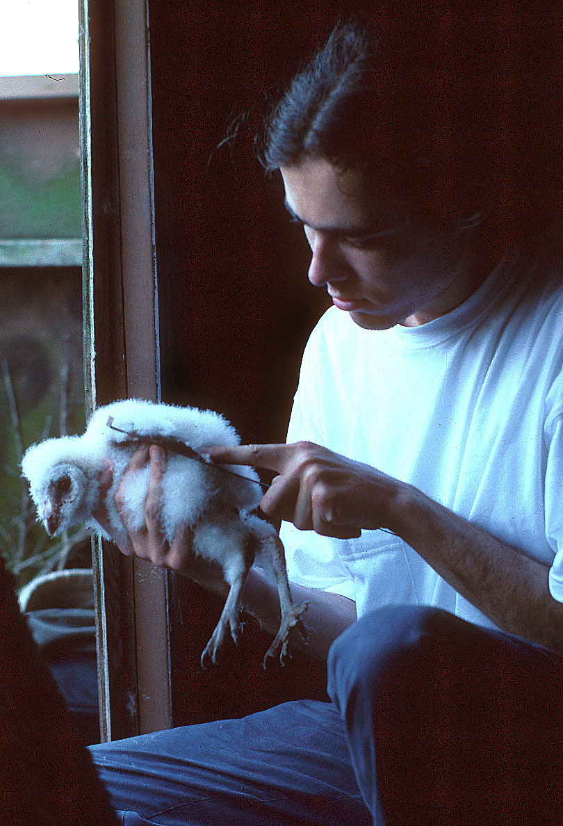 David Whalen - The Center for Conservation Biology