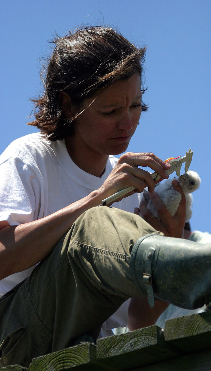 Elizabeth Long - The Center for Conservation Biology
