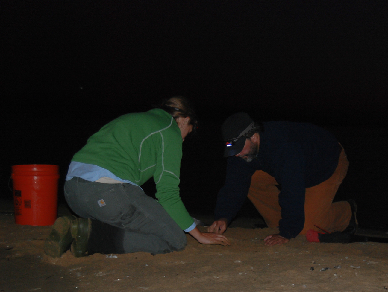 Trapping eagles - The Center for Conservation Biology