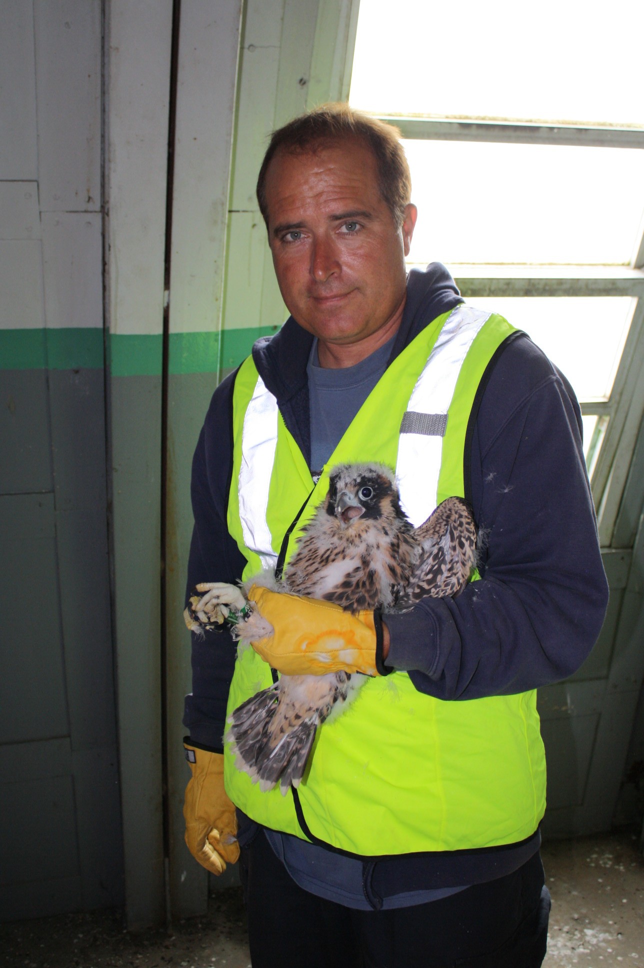 Shawn Padgett - The Center for Conservation Biology