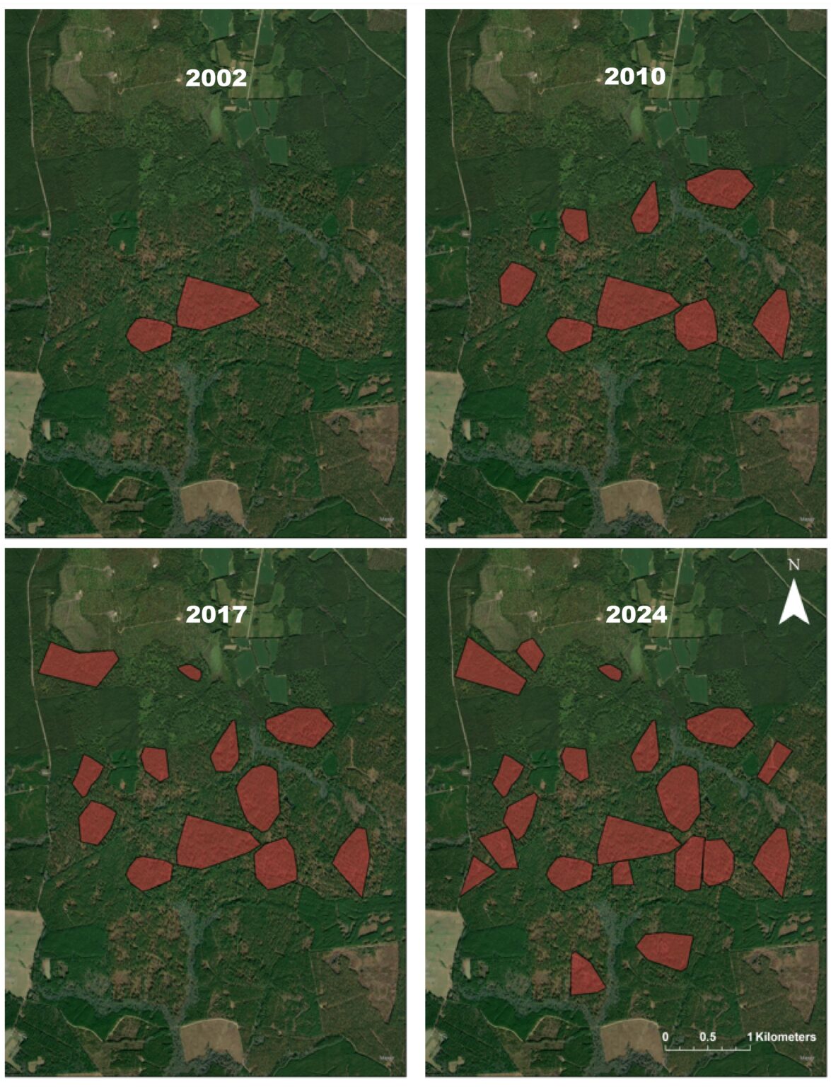 The Resurgence of Red-Cockaded Woodpeckers in Virginia - The Center for ...